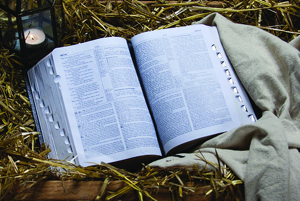 Equipping study: The Incarnation - The Presbyterian Lay Committee